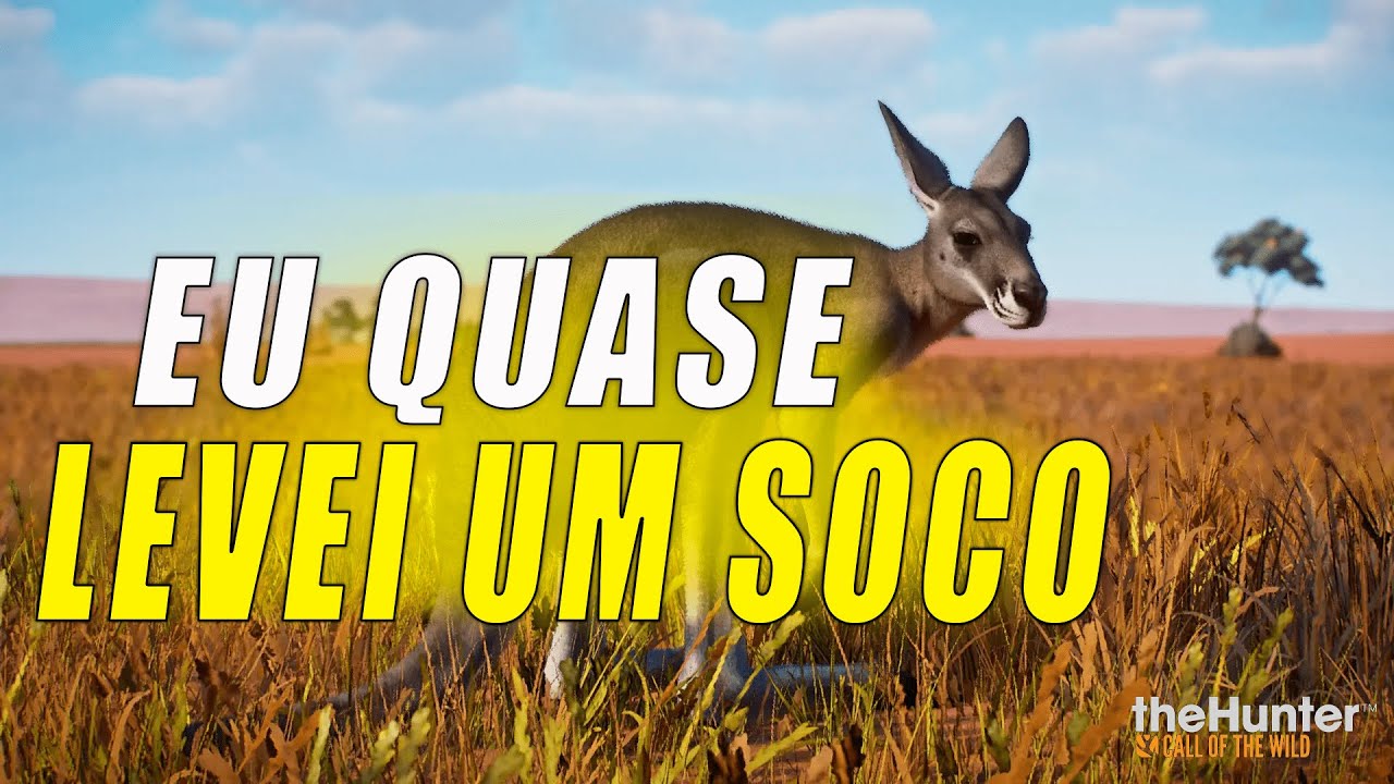 🛑 CANGURU MOSTROU OS SEUS MÚSCULOS 🛑 - YouTube