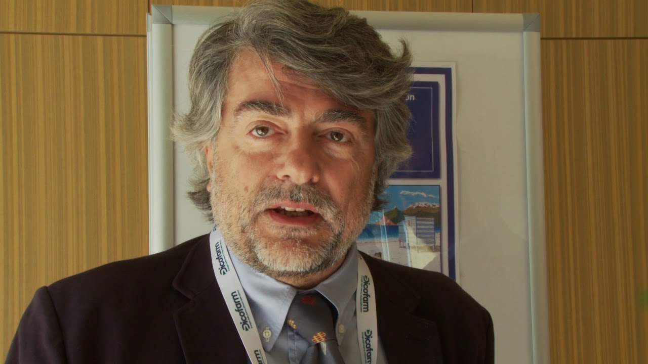Interview with Prof.Manuel Sánchez Luna - XIV International Workshop on ...