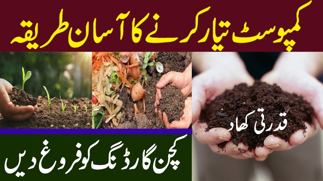 How to Make Compost At Home | Easy & Best Organic Fertilizer For Any ...