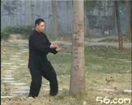 Taiji Pole Conditioning - YouTube
