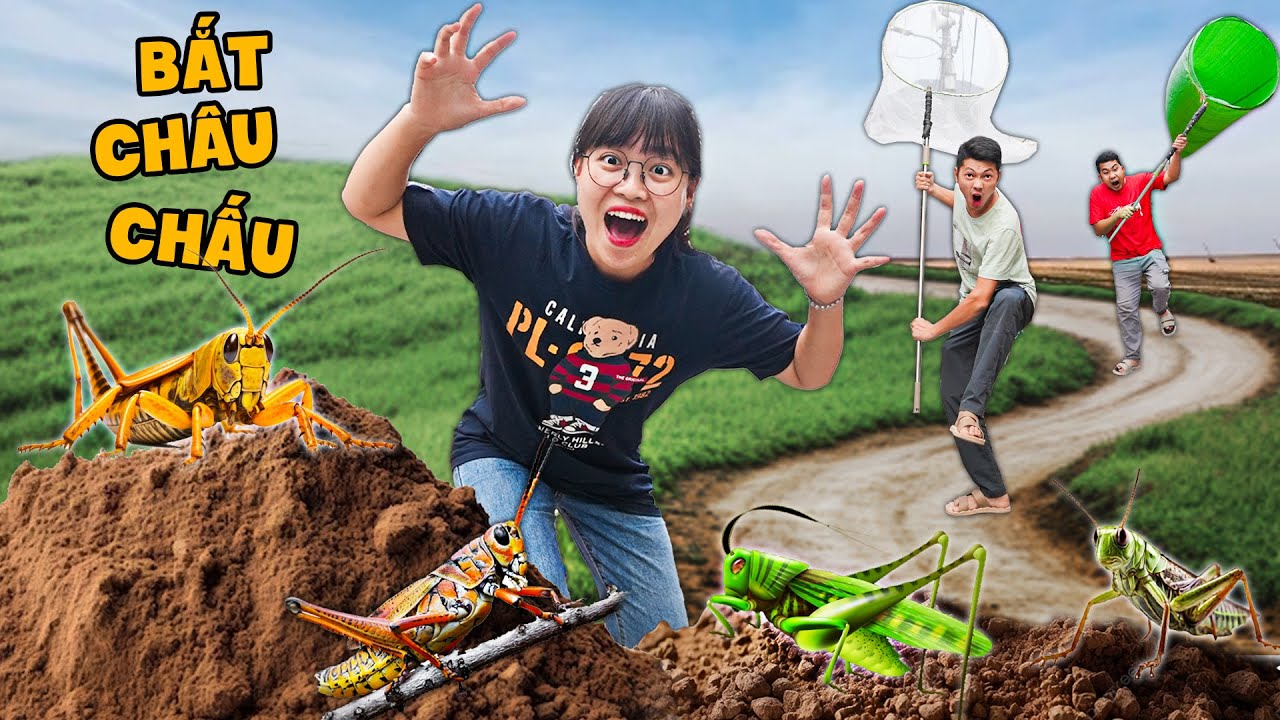 Hà Sam Thử Thách Vợt Châu Chấu Ngoài Đồng Xem Ai Vợt Được Nhiều Nhất ...