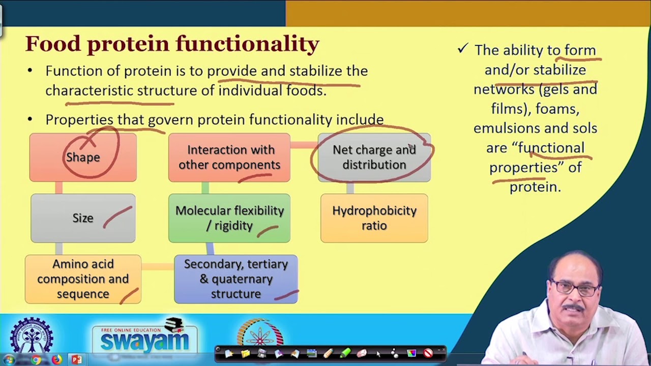 Food protiens ( Denaturation, foaming & gelation) - YouTube