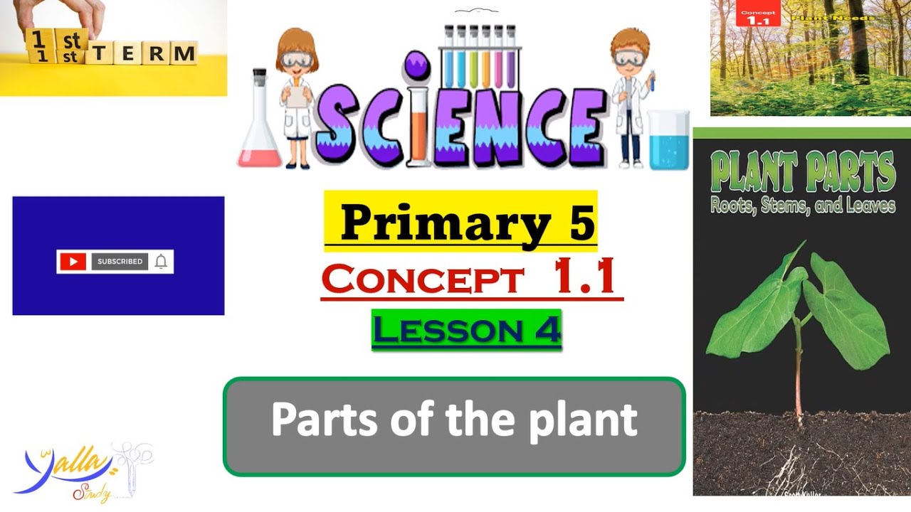 Science chapter 1 lesson 4 theme 1 primary 5 first term - YouTube