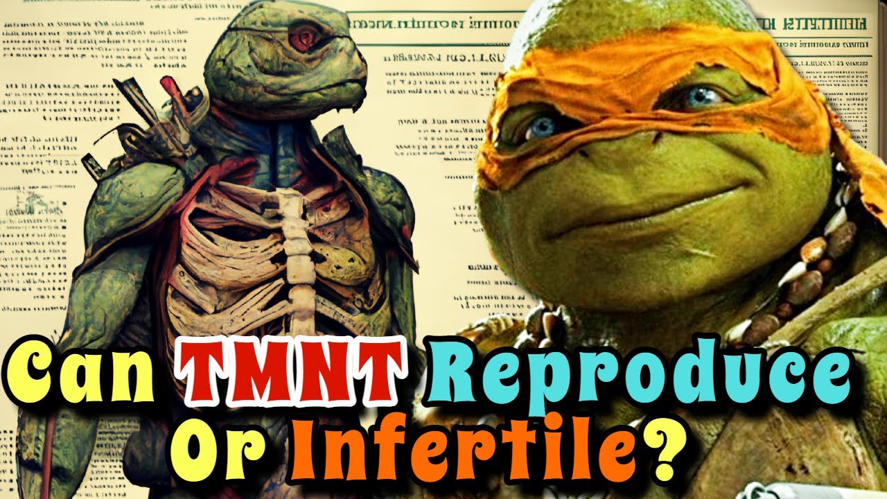 Tmnt Female Turtle Maker