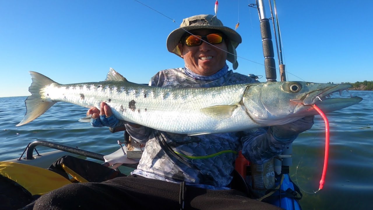 It's Cuda Time - Winter Cuda Season Begins - YouTube