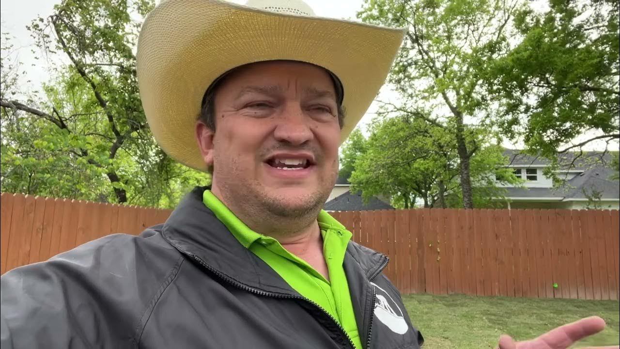Which Zoysia Grass Looks Best Next To Artificial Turf Youtube