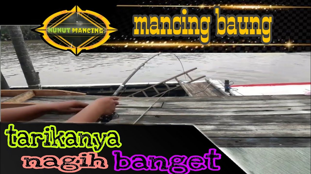 Istimewaaa !!! Mancing ikan baung / sogo dapat besar-besar - YouTube