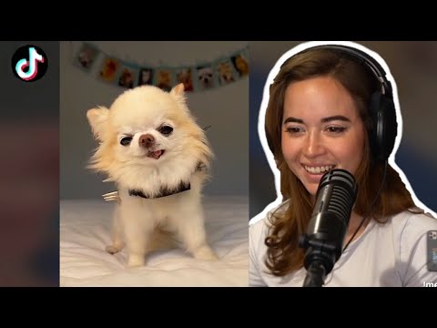 Maya thought this Tik Tok was TOO CUTE - YouTube