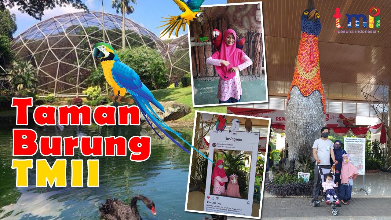 Taman Burung TMII Taman Mini Indonesia Indah | BIRD PARK TMII - YouTube