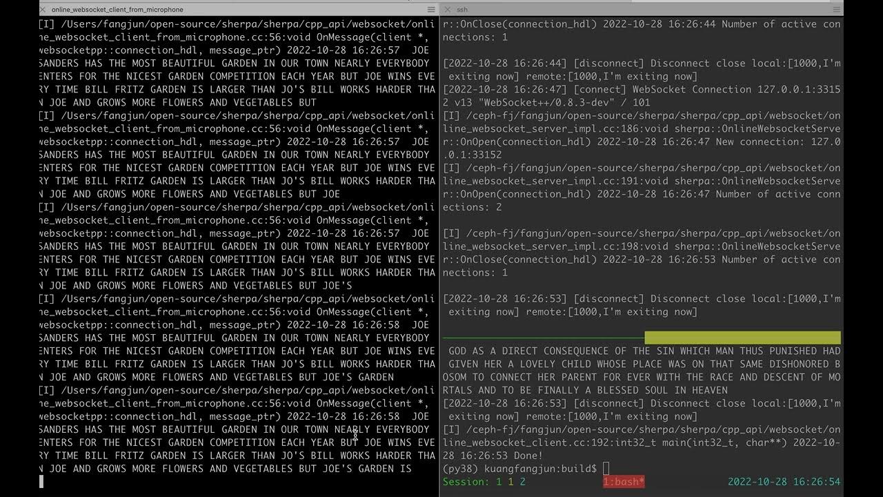 Streaming speech recognition using websocket server & client based on next-gen Kaldi - YouTube