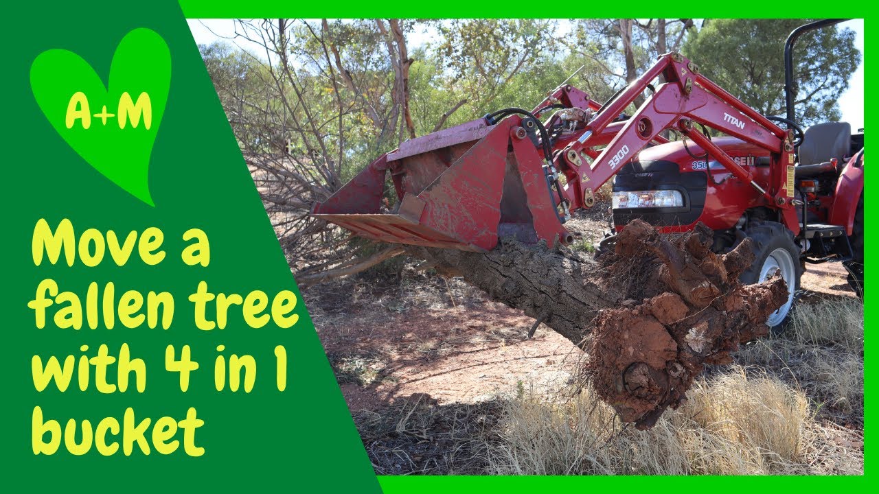Move a fallen tree with frontend loader and 4 in 1 bucket on a tractor ...