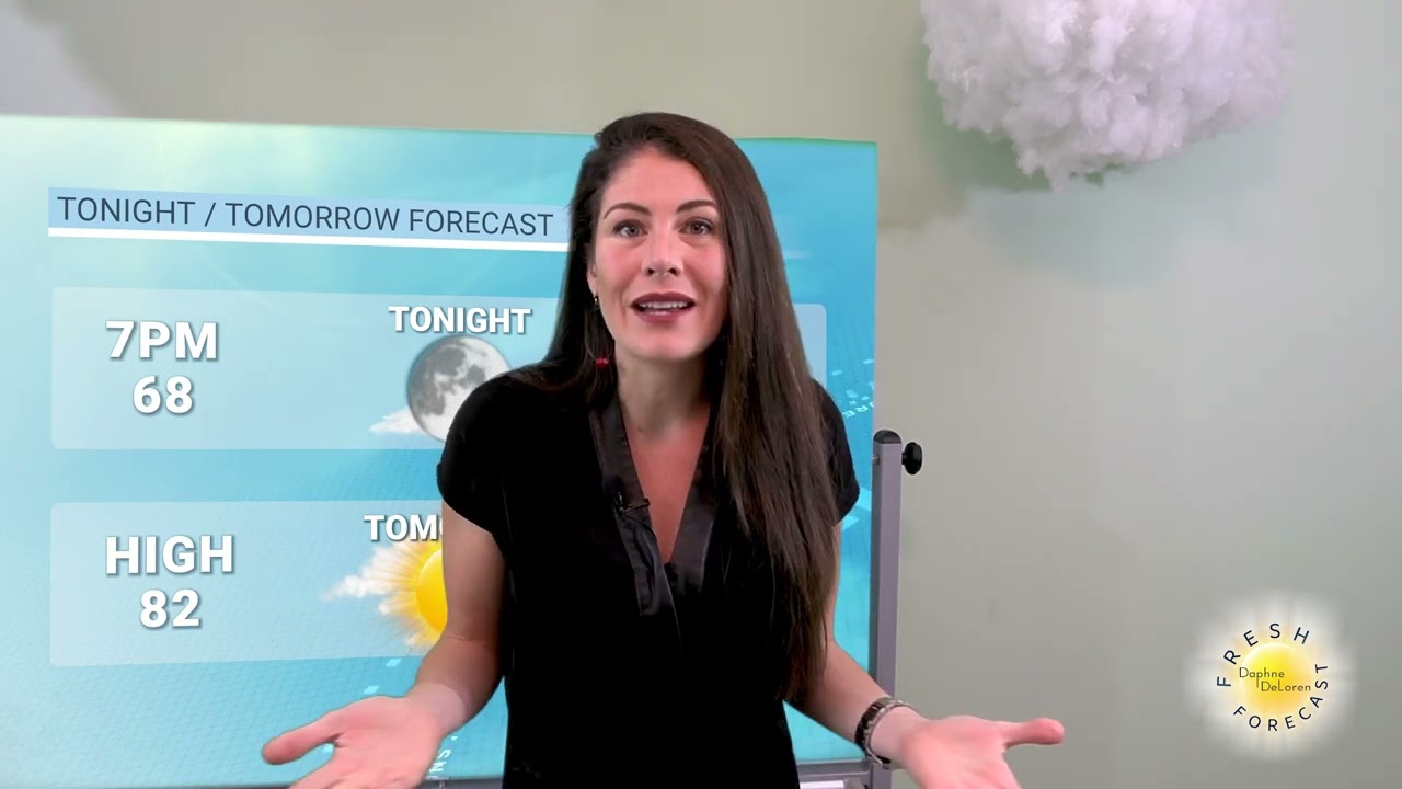 Your Middle Tennessee Fresh Forecast with Chief Meteorologist Daphne ...