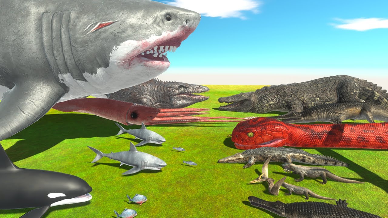 Aquatics vs Reptiles, Who Will Win in This Battle? - Animal Revolt ...