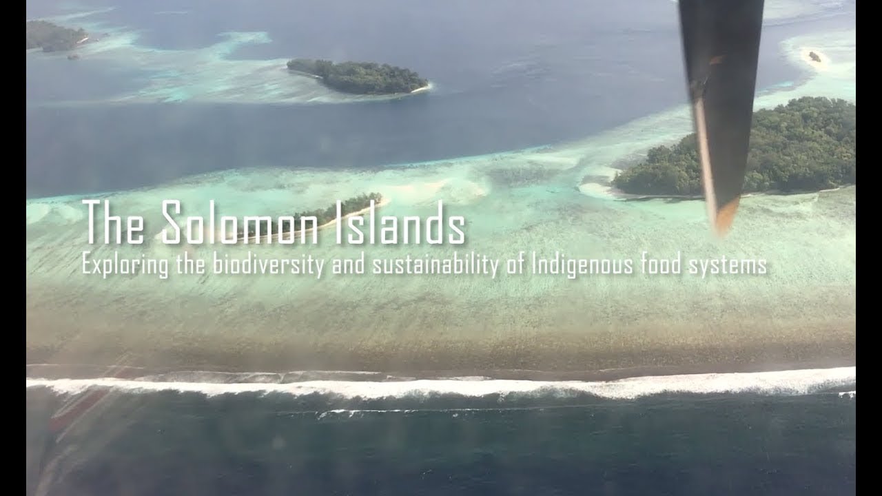 The Solomon Islands: Exploring the biodiversity and sustainability of ...