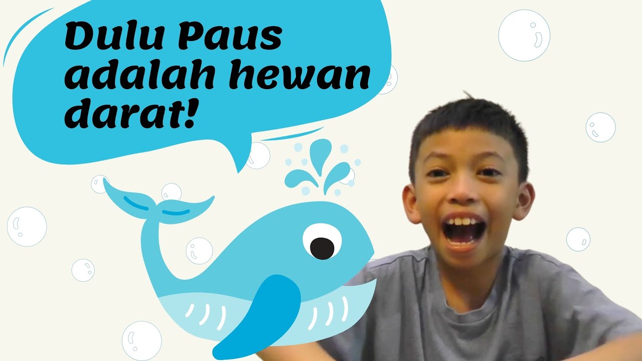 Fakta tentang hewan Paus | Paus awalnya adalah hewan darat! - YouTube