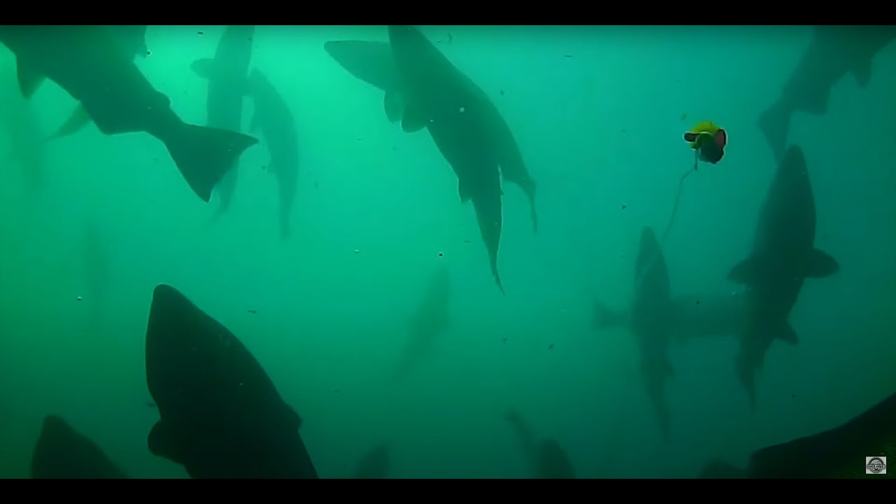 PATAGONIA Salmon Fishing! | Search for GIANT Kings! | (Part 3 of 3 ...