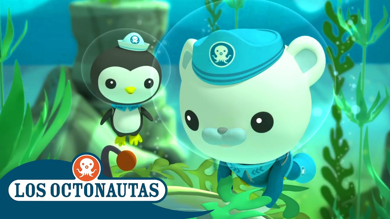 Los Octonautas Oficial En Español - El bosque de algas y buscando a las ...