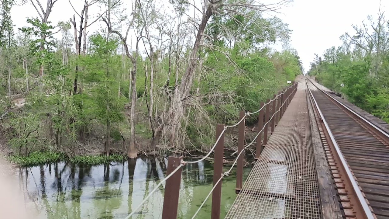 investigating the swamp and railroad - YouTube
