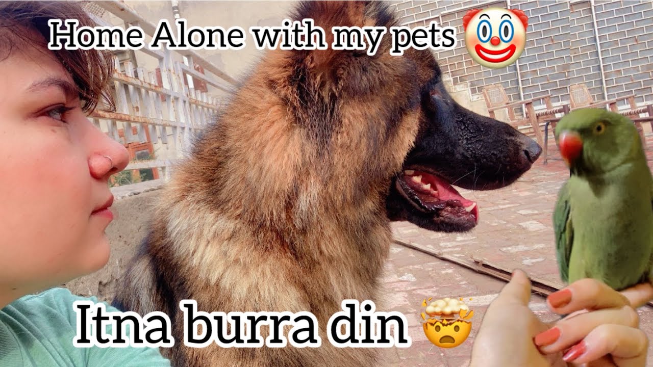 A bad day of my life || Itna burra din tha || kuch sahi nahi howa ...