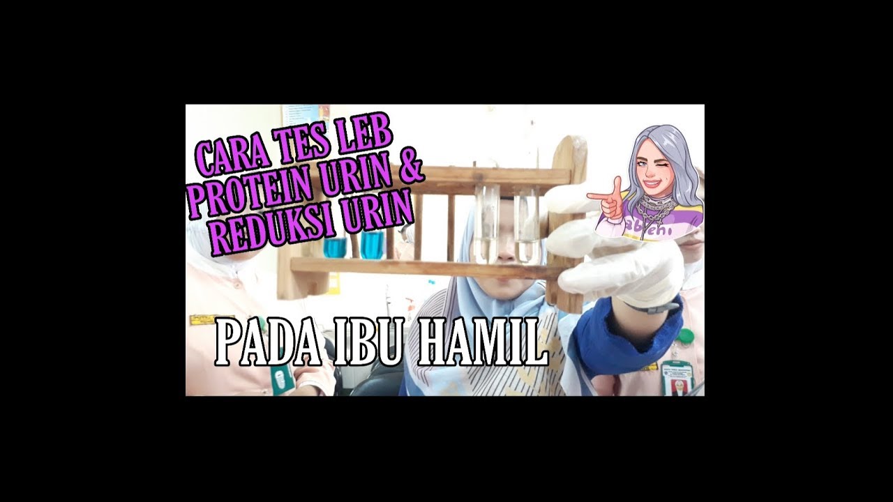 REDUKSI URIN & PROTEIN URIN |pemeriksaan penunjang pada ibu hamil - YouTube