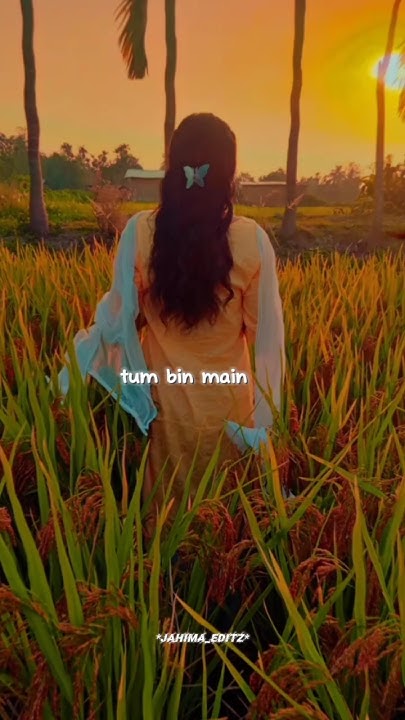 Tum Bin Me Dekhu To song status😩💔||Tum Todo Na (female)|| Sad lofi song video #shorts @Jahima ...