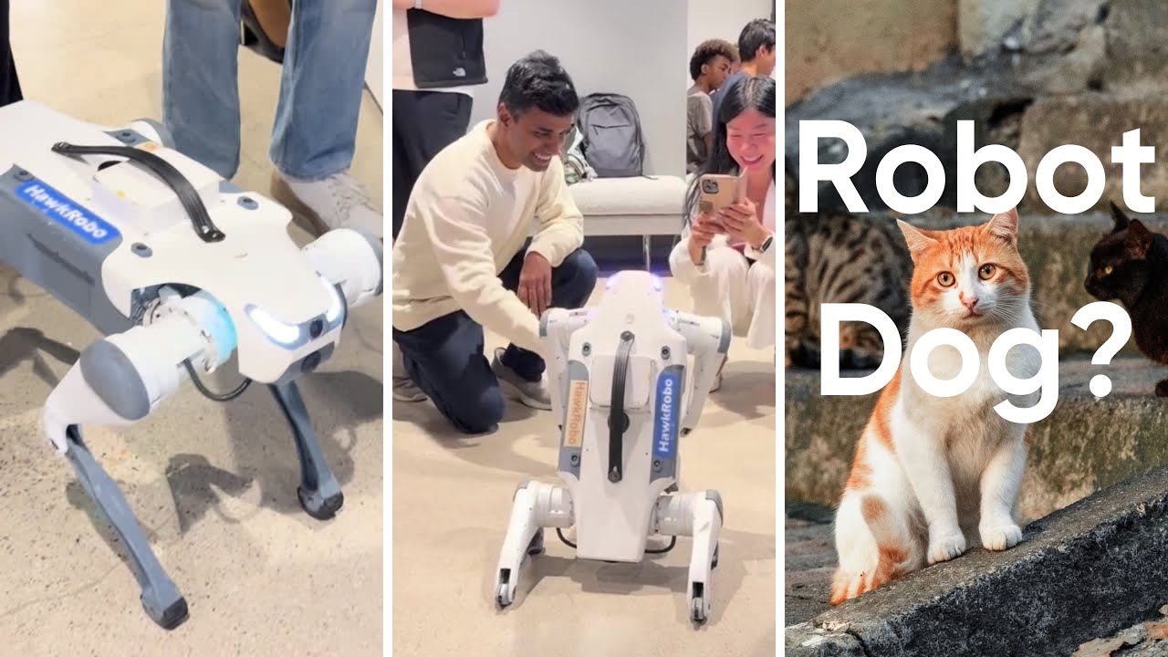 I Met the Robot & Next Gen Founders from UCI - YouTube
