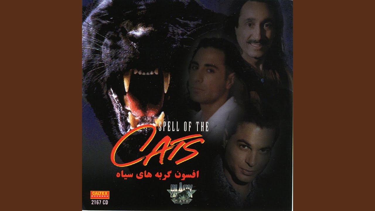 Afsoon - YouTube Music