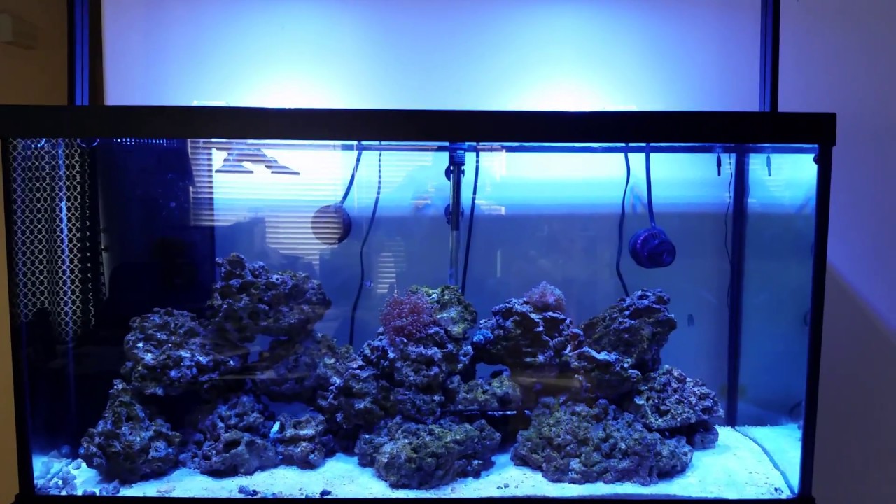 AI hydra 26 HD upgrade - YouTube