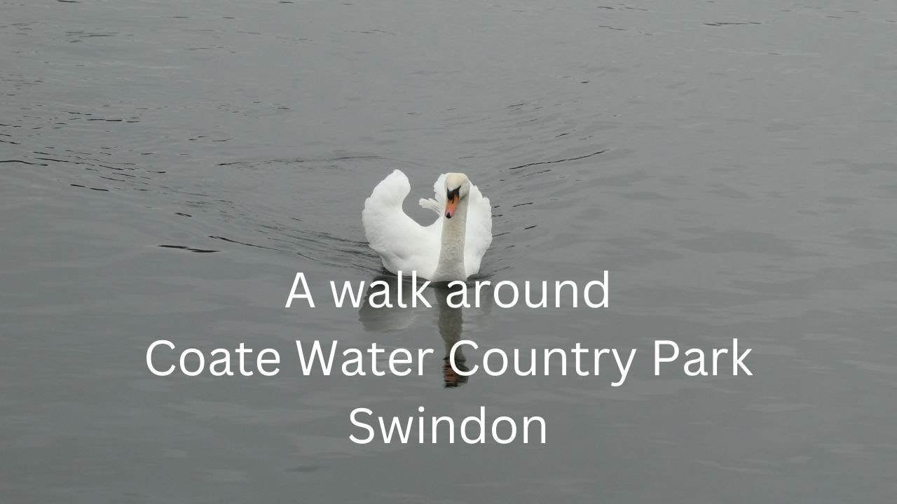 Coate Water Country Park, a truly beautiful place for a walk - YouTube