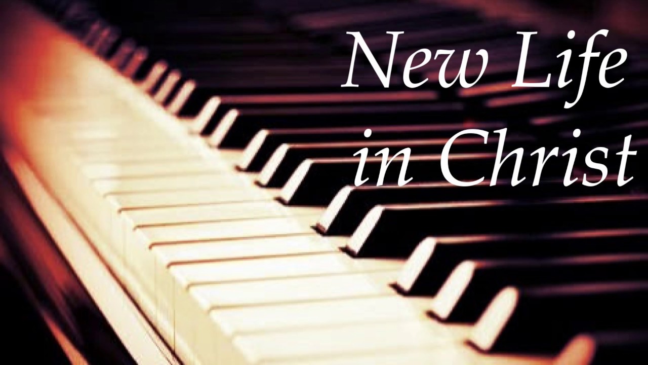 New Life In Christ - Gone is the guilt of my sin : John W. Peterson ...