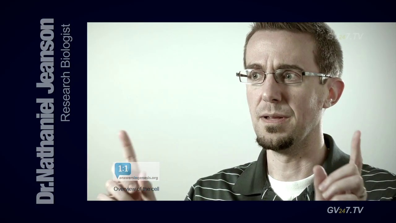 Overview of the cell - YouTube