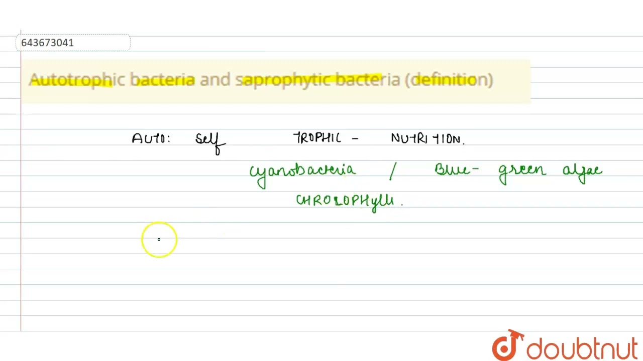 Autotrophic Bacteria