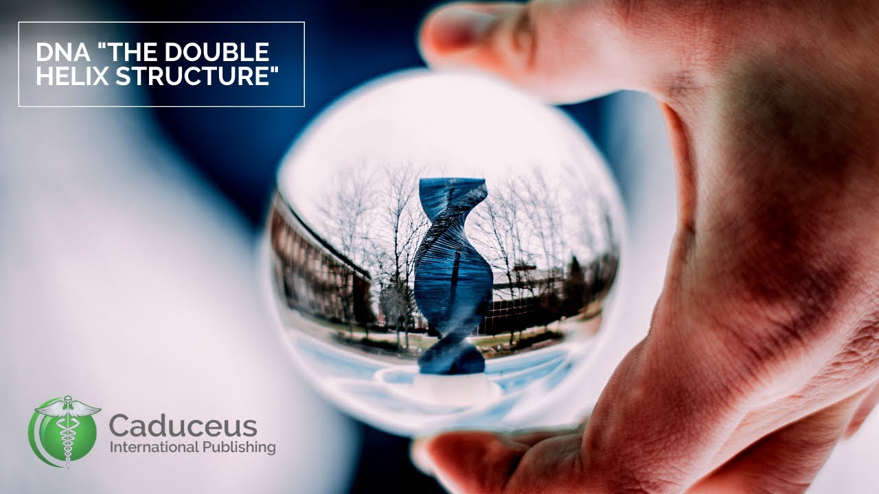 The Anatomy of a DNA Helix - YouTube