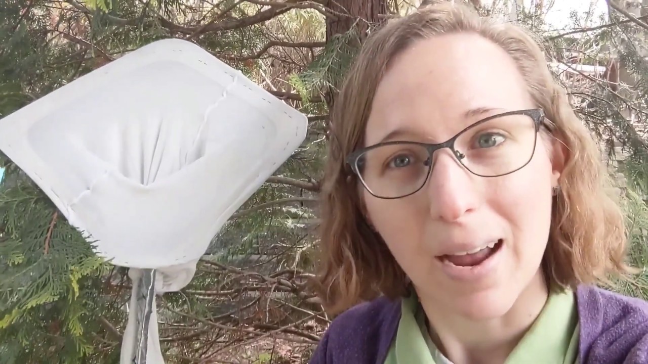 How To Make a Dip Net to Study Aquatic Insects - YouTube