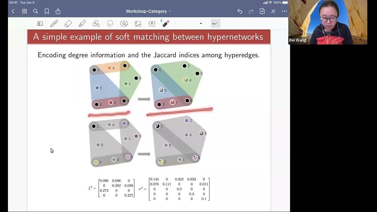 Bei Wang: Hypergraph Co-Optimal Transport: Metric and Categorical Properties - YouTube