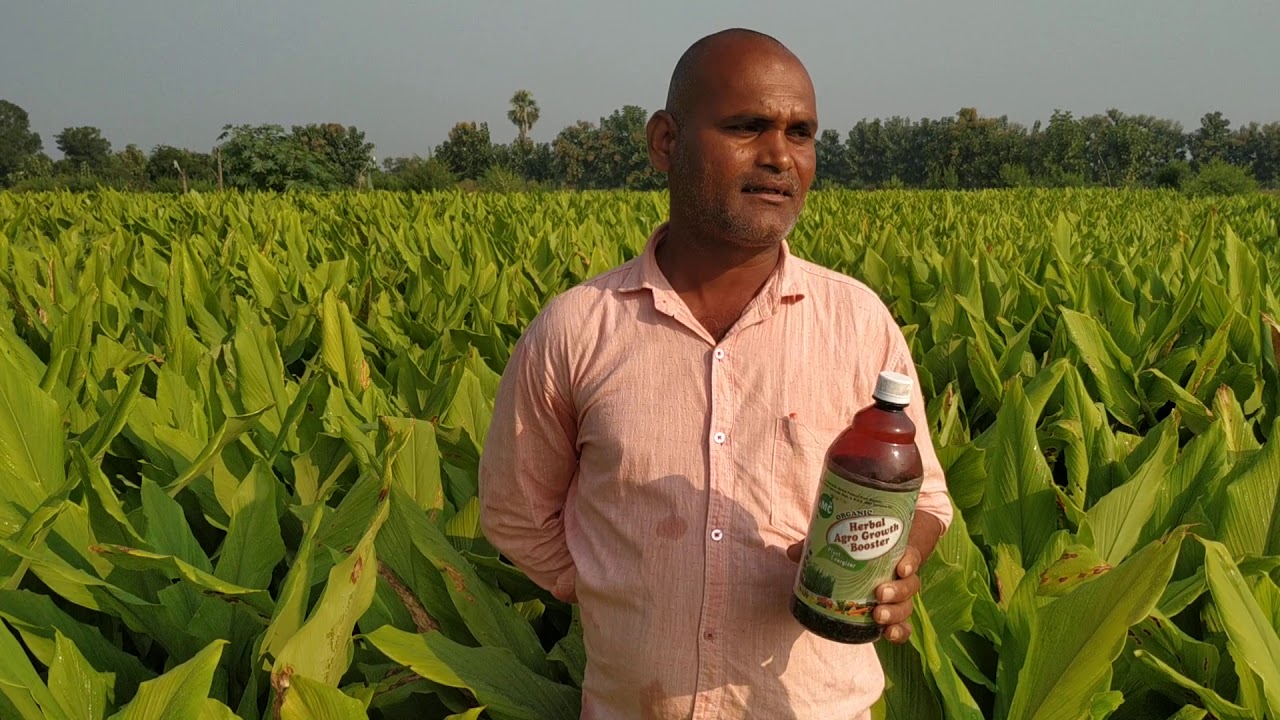 Organic Hearbal growth Booster | Pasupu Panta - YouTube