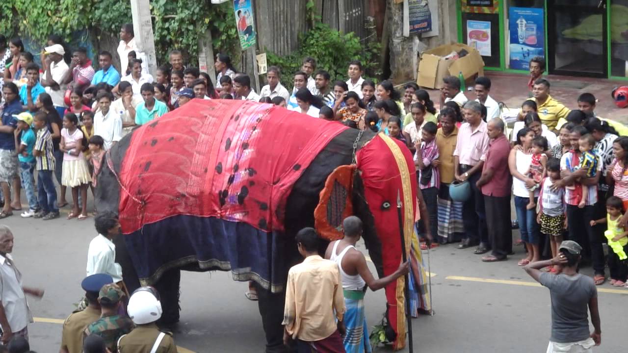 Beliatta, Palapotha 2013 Mihindu Perahera - PART 08 - YouTube