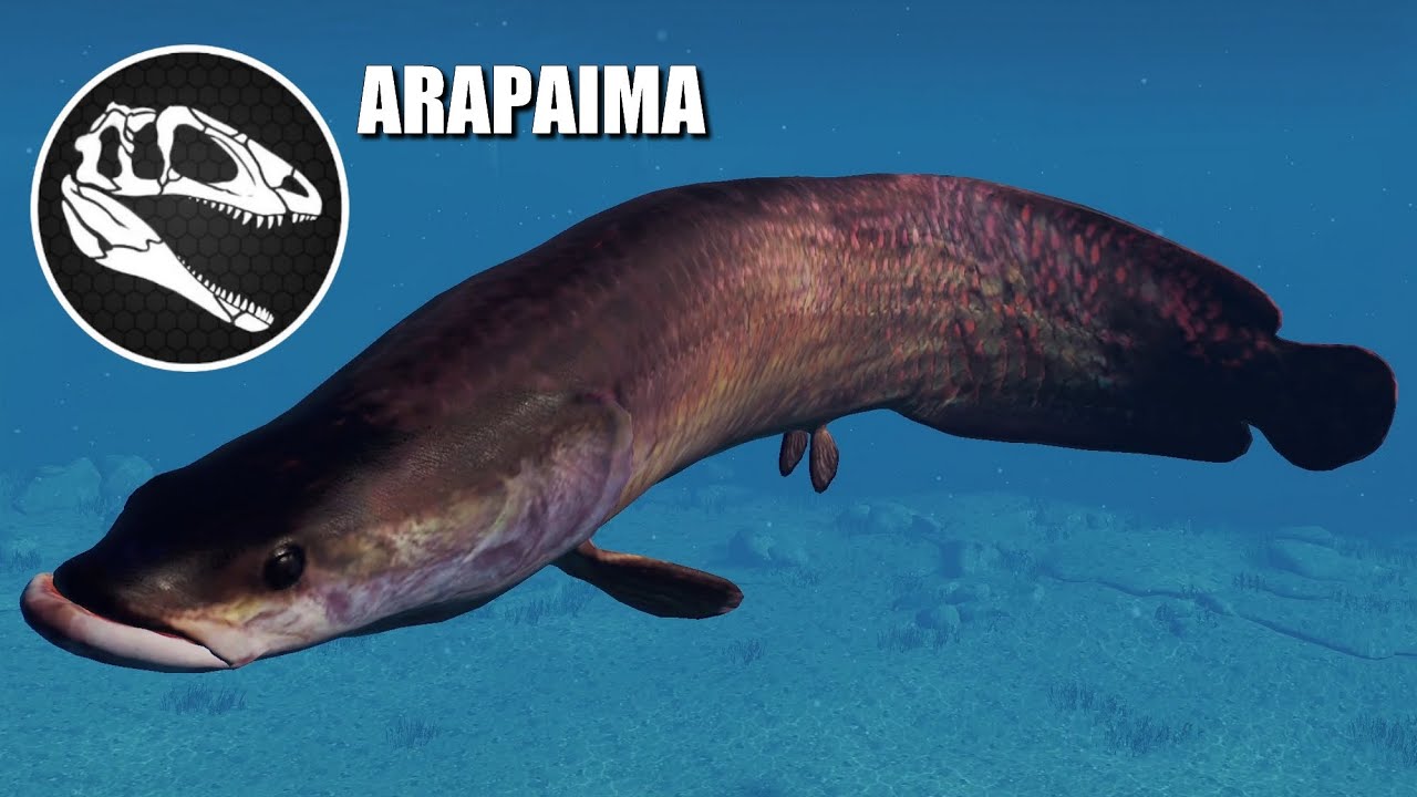 Dunkleosteus Hunting Arapaima - JWE 2 Mods (4K 60FPS) - YouTube