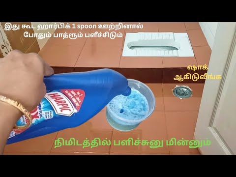 இந்த ரகசியம் தெரிஞ்சா நிமிடத்தில் டாய்லெட் புதுசு போல பளீச்சிடும் ...