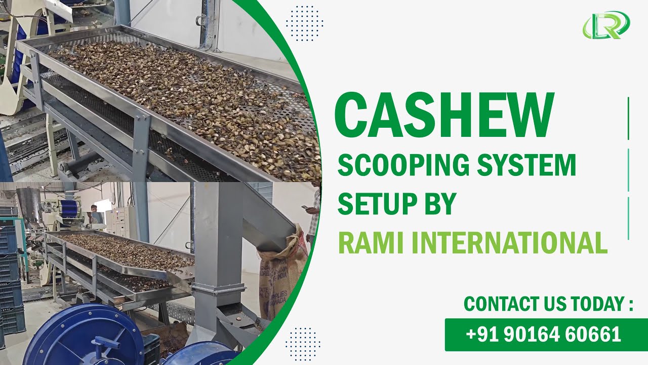 Automatic Cashew Scooping Machine Fully Automatic Cashew Scooping Line🥰 ...