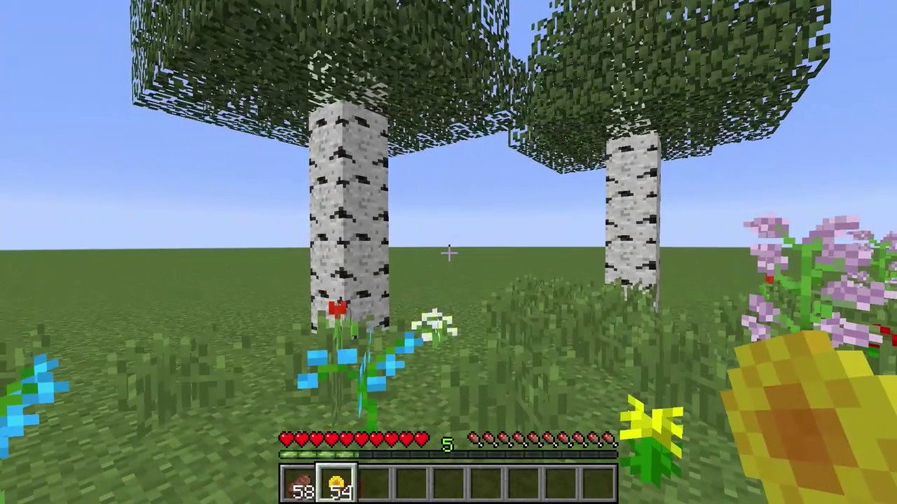 AlexanderTuttle(son of Delia Tuttle) takes a tour of Misson San Luis ...