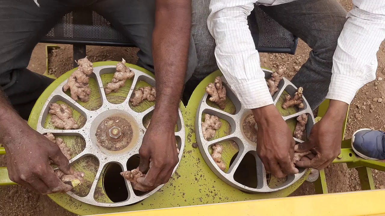 Turmeric and Ginger planter machine developed by GURU NANAK ENGINEERING ...