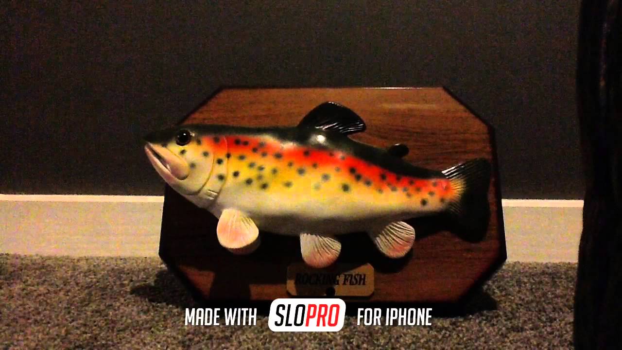 Rocking fish (trout) super slow motion - YouTube
