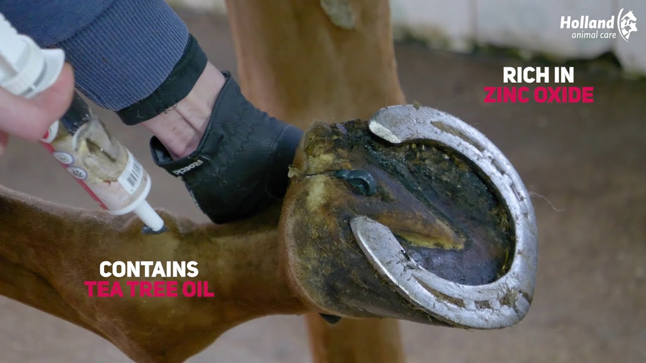 Equi Hoof Zinc Paste (EN) - YouTube
