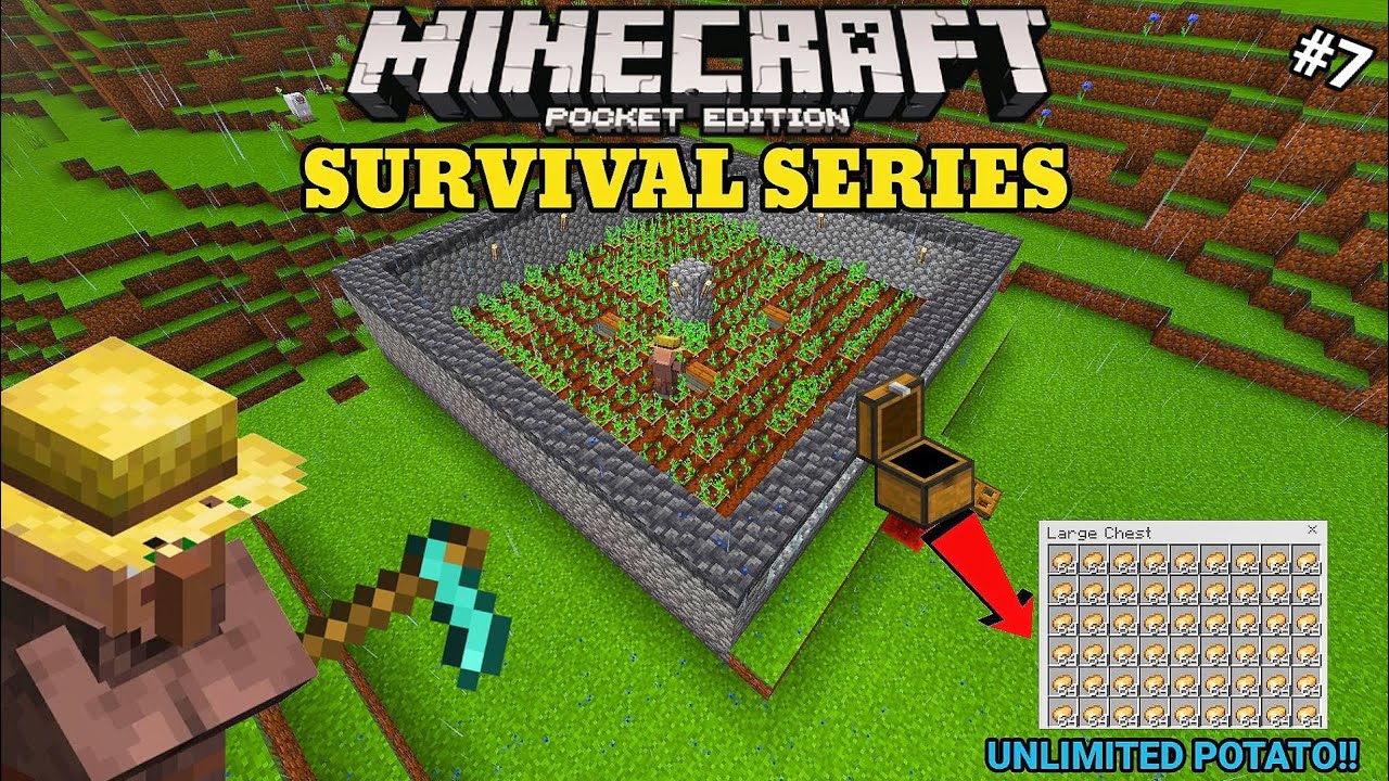 I MADE AUTOMATIC POTATO FARM | MINECRAFT SURVIVAL SERIES #7 - YouTube