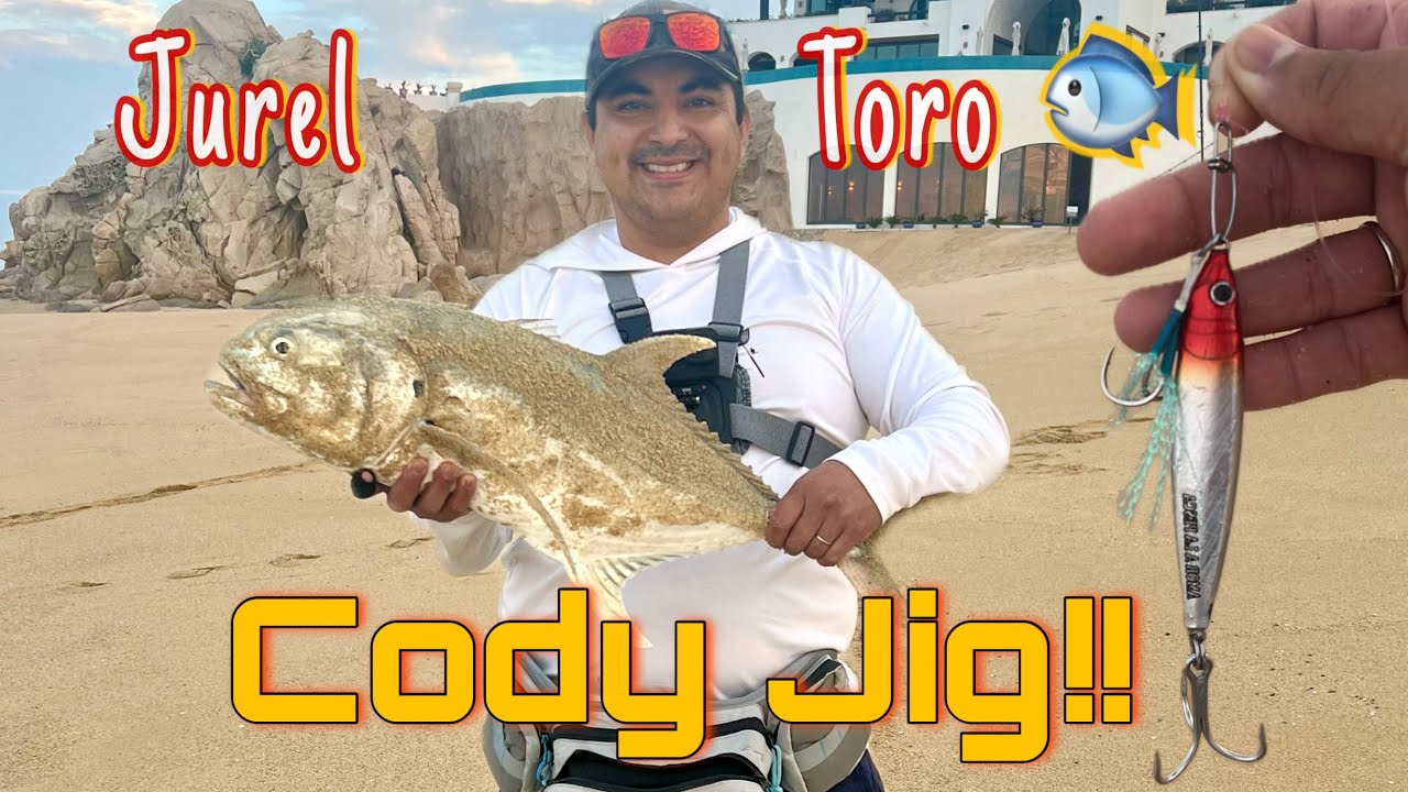 Jurel Toro / Jack Crevalle en Playa Pedregal Cabo San Lucas - YouTube