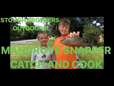 New Smyrna Beach Jetty Fishing - NSB - Mangrove Snapper - YouTube