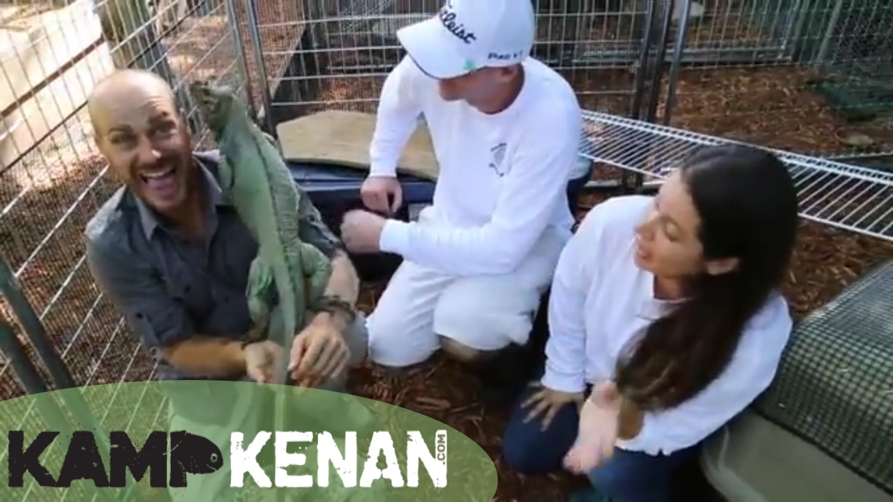 Extremely Tame Rhino Iguanas! Kamp Kenan S1 Episode 13 - YouTube