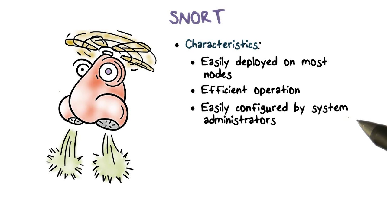Snort - YouTube