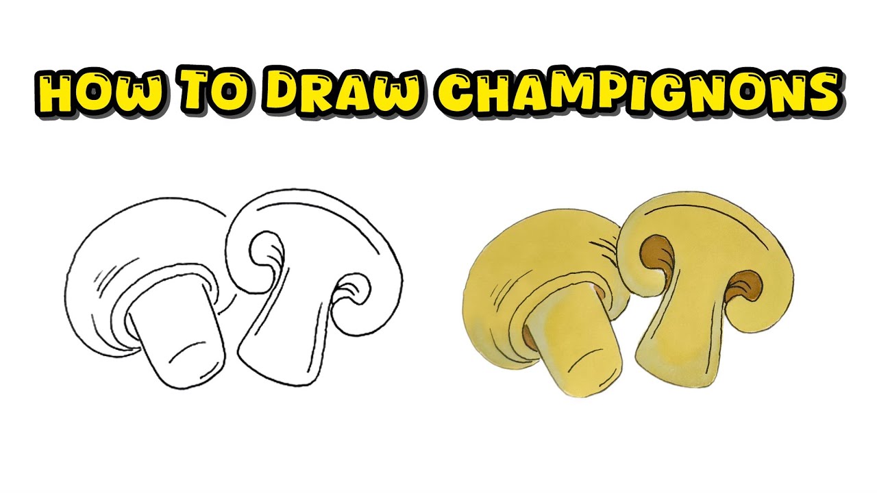 How to Draw Champignons Easily – Complete and Detailed Guide for All ...